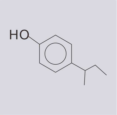 p-ethylphenol, Antioxidant BHEB, 2-tert-butyl-4-ethylphenol ...